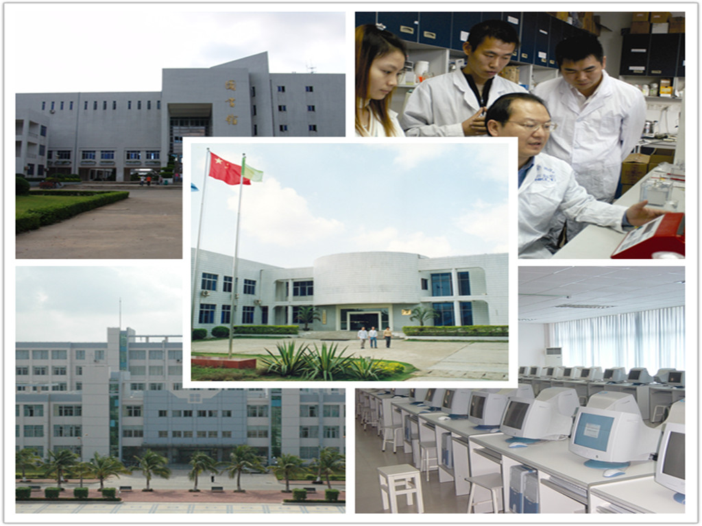 About Hainan University-College of international cultural exchange ...